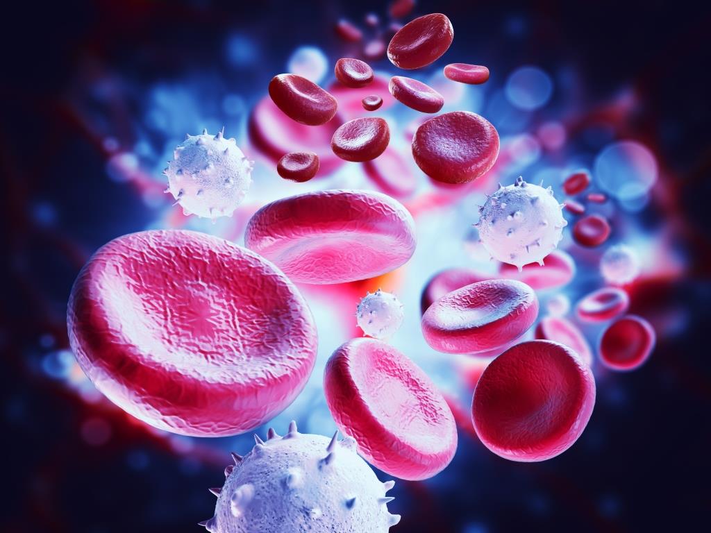 Realistic and Dynamic In Vitro Model of the Blood Brain Barrier - Stratech