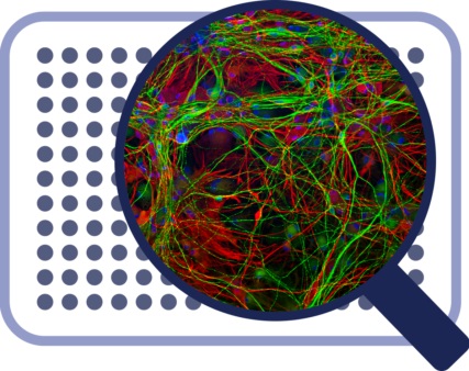 microBrain® 2D Assay Ready - Stratech