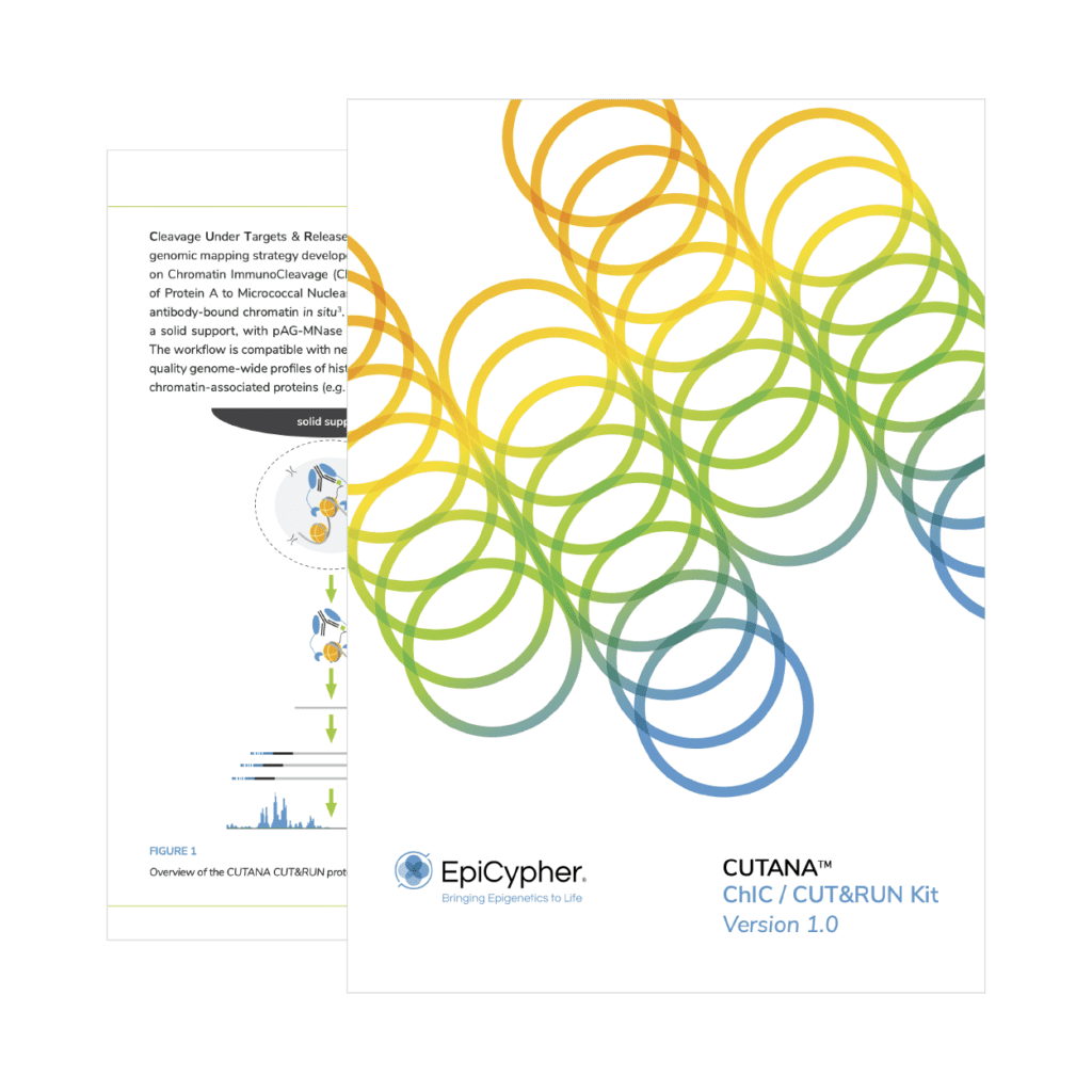 CUTANA™ ChIC / CUT&RUN Kit - Stratech