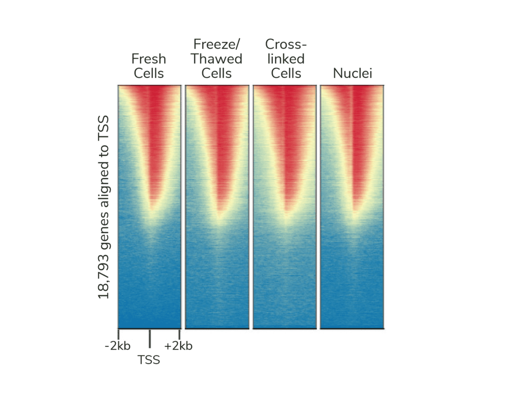 ChIP-seq vs. CUT&RUN vs. CUT&Tag: Which should you use? - Stratech
