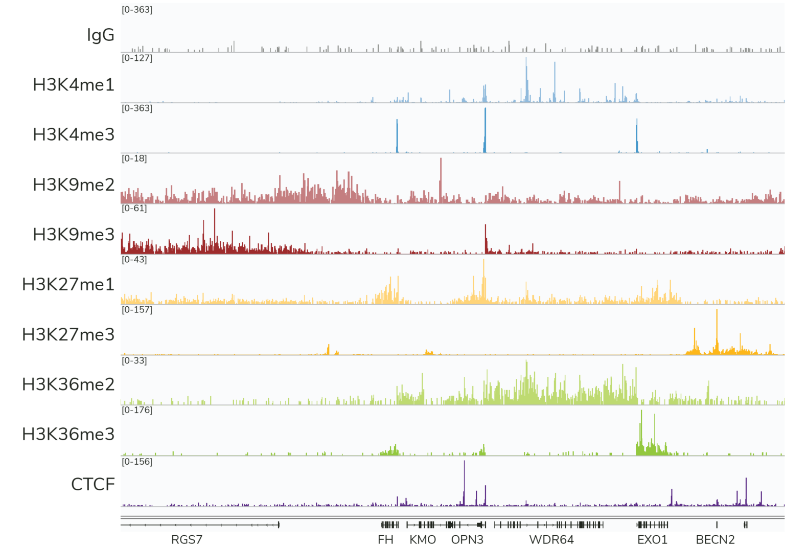ChIP-seq vs. CUT&RUN vs. CUT&Tag: Which should you use? - Stratech
