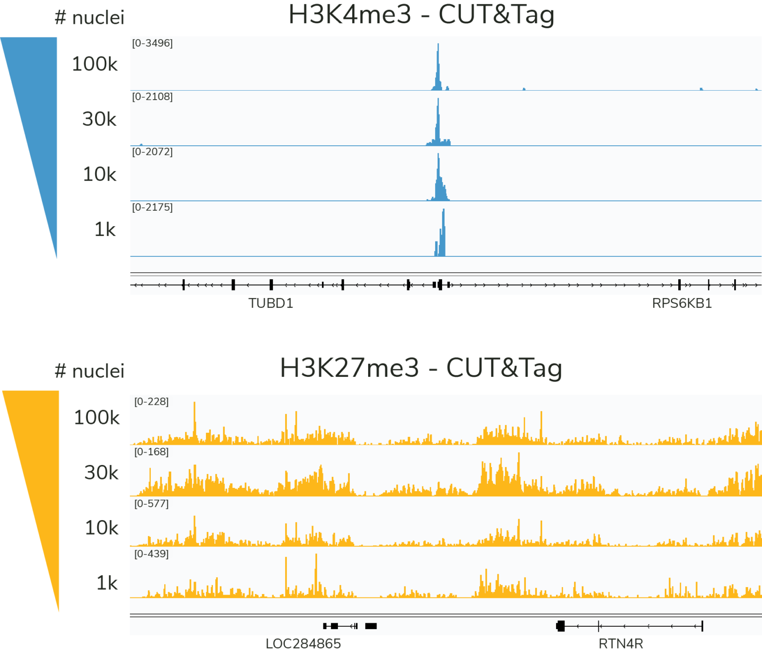 ChIP-seq vs. CUT&RUN vs. CUT&Tag: Which should you use? - Stratech