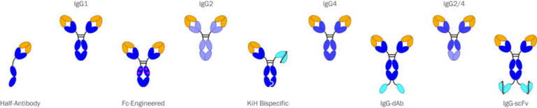 Absolute Antibody - Stratech