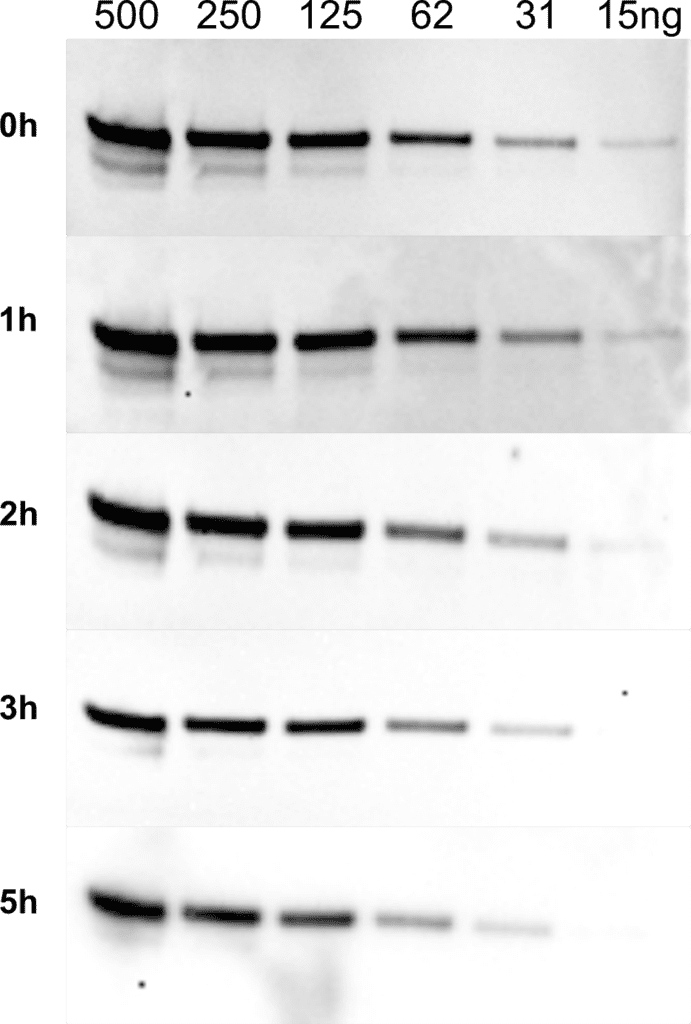 Quanta Biodesign - Stratech