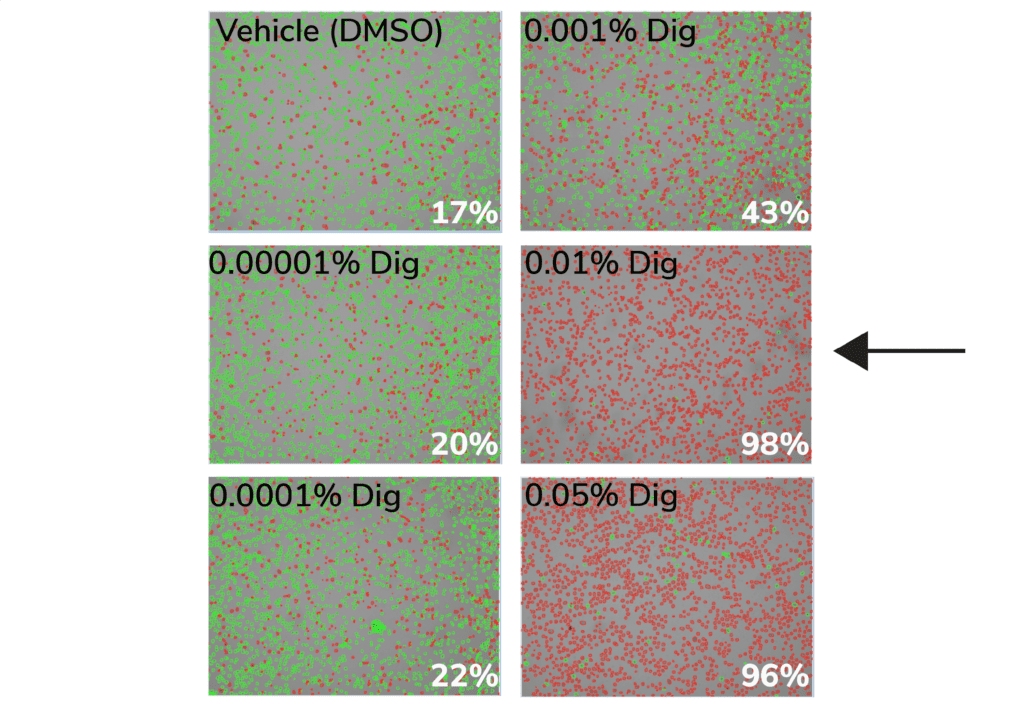 CUT&RUN Support Center - Stratech