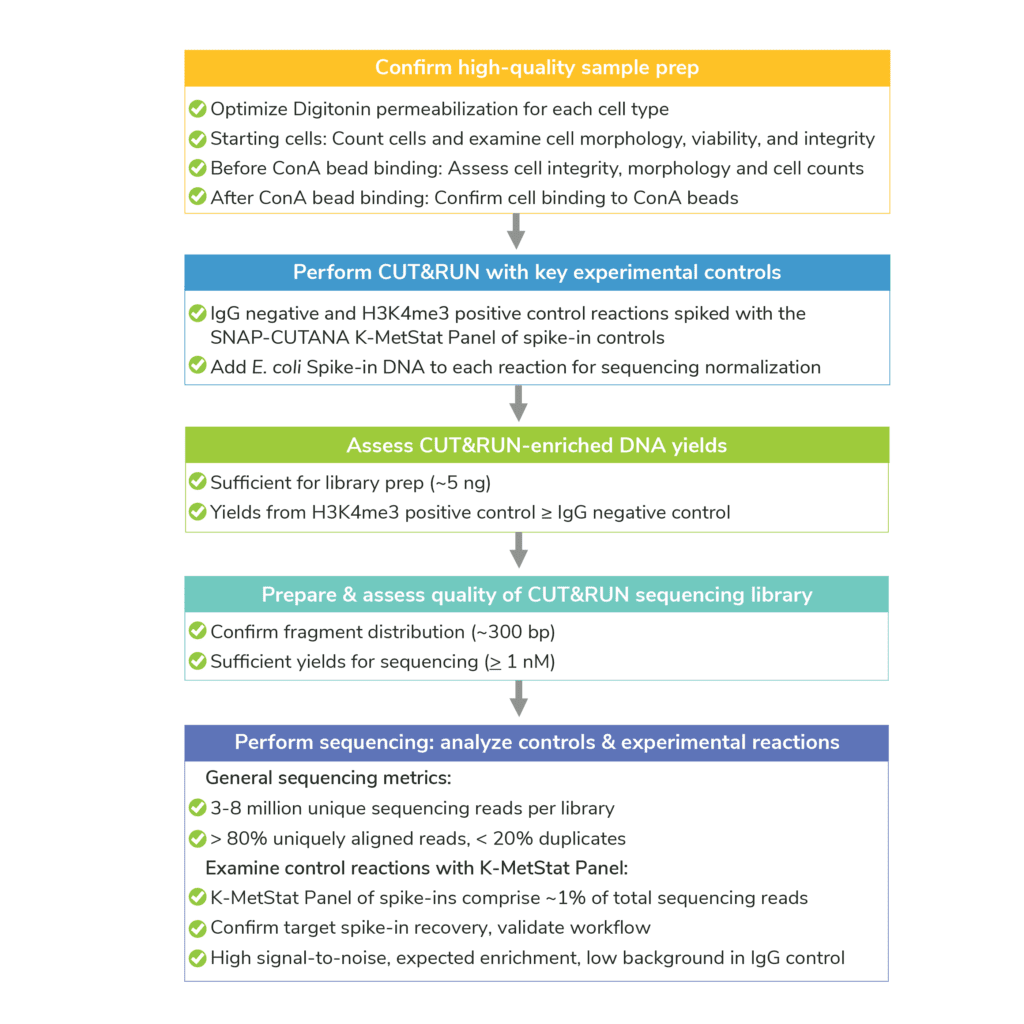 CUT&RUN Support Center - Stratech