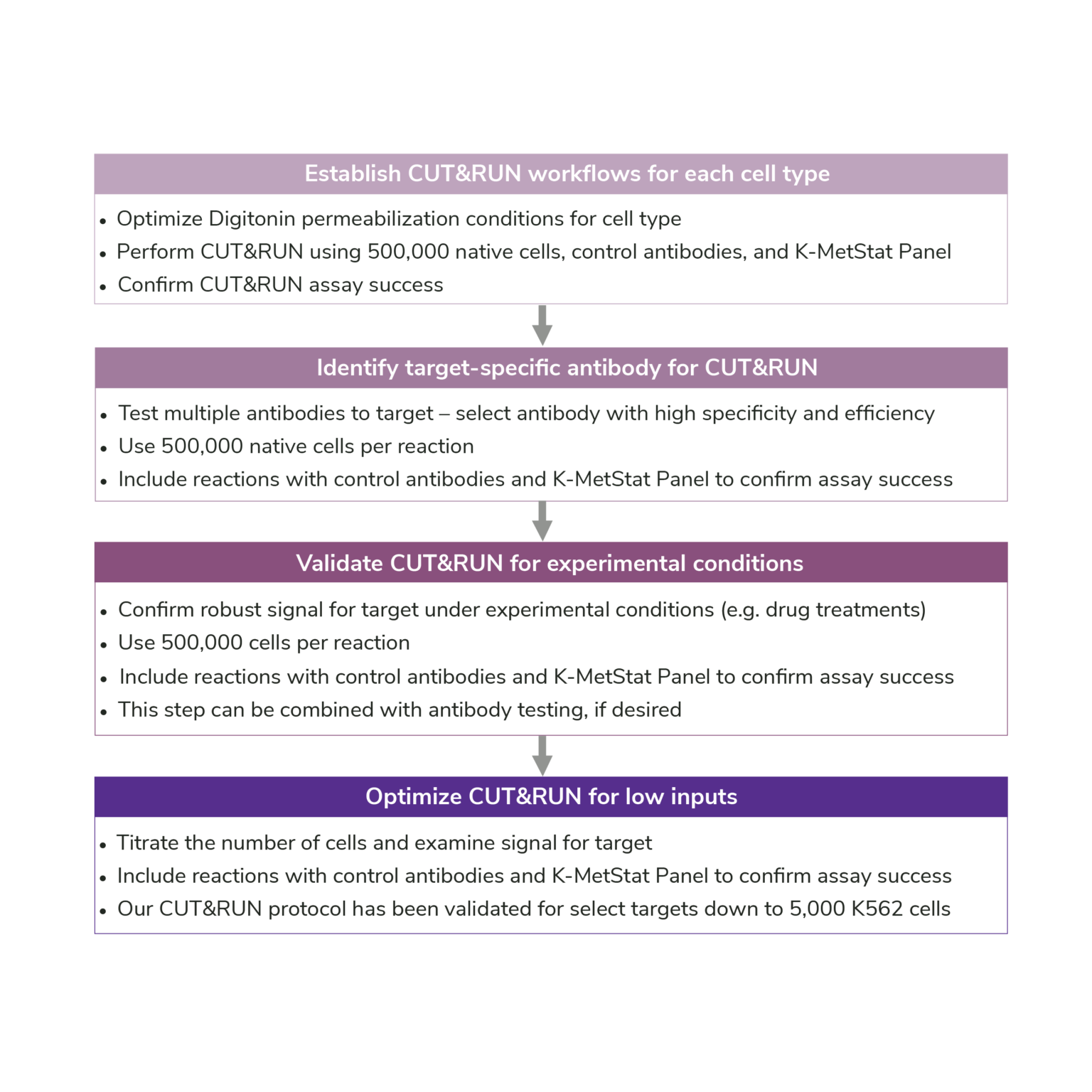 CUT&RUN Support Center - Stratech