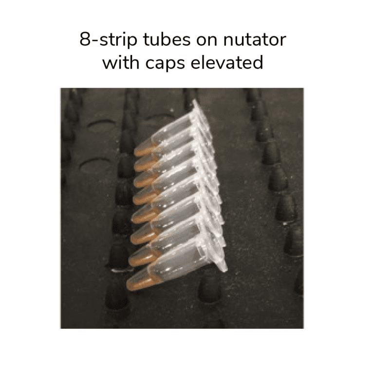 CUT&RUN Support Center - Stratech